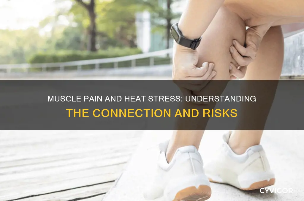 Muscle Pain And Heat Stress: Understanding The Connection And Risks ...