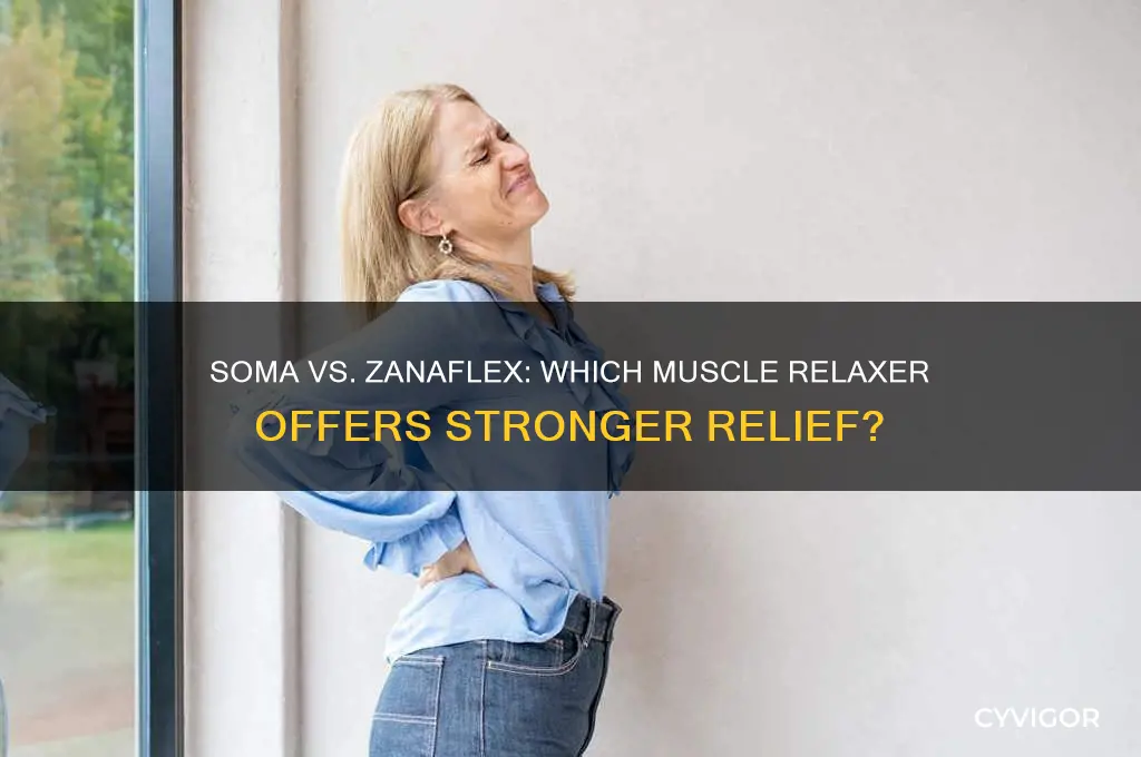 Soma Vs. Zanaflex: Which Muscle Relaxer Offers Stronger Relief? | CyVigor