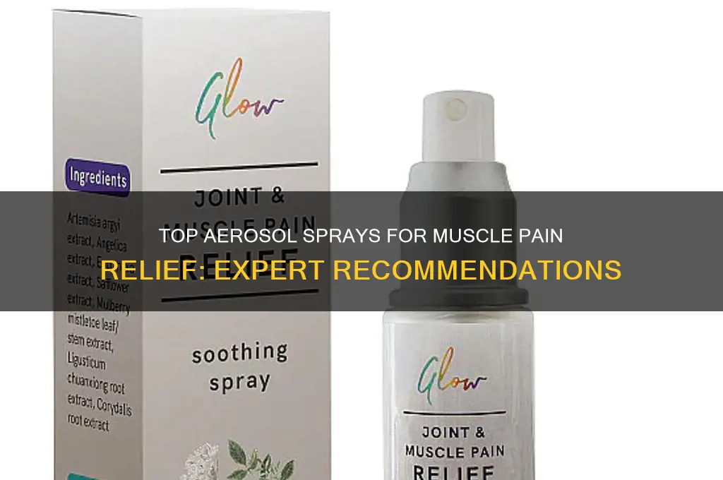 Top Aerosol Sprays For Muscle Pain Relief: Expert Recommendations | CyVigor