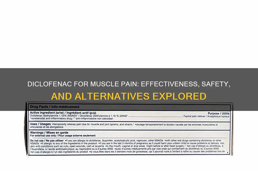 Diclofenac For Muscle Pain: Effectiveness, Safety, And Alternatives ...