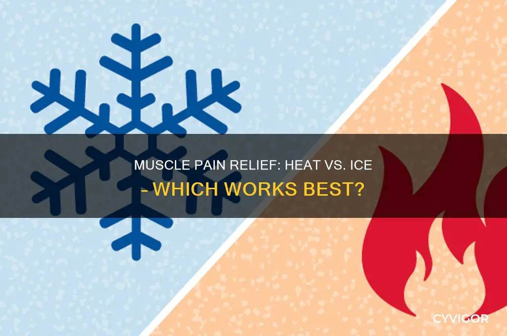 Muscle Pain Relief: Heat Vs. Ice – Which Works Best? | CyVigor