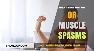 Understanding Upper Back Pain: Key Muscles And Their Role | CyVigor