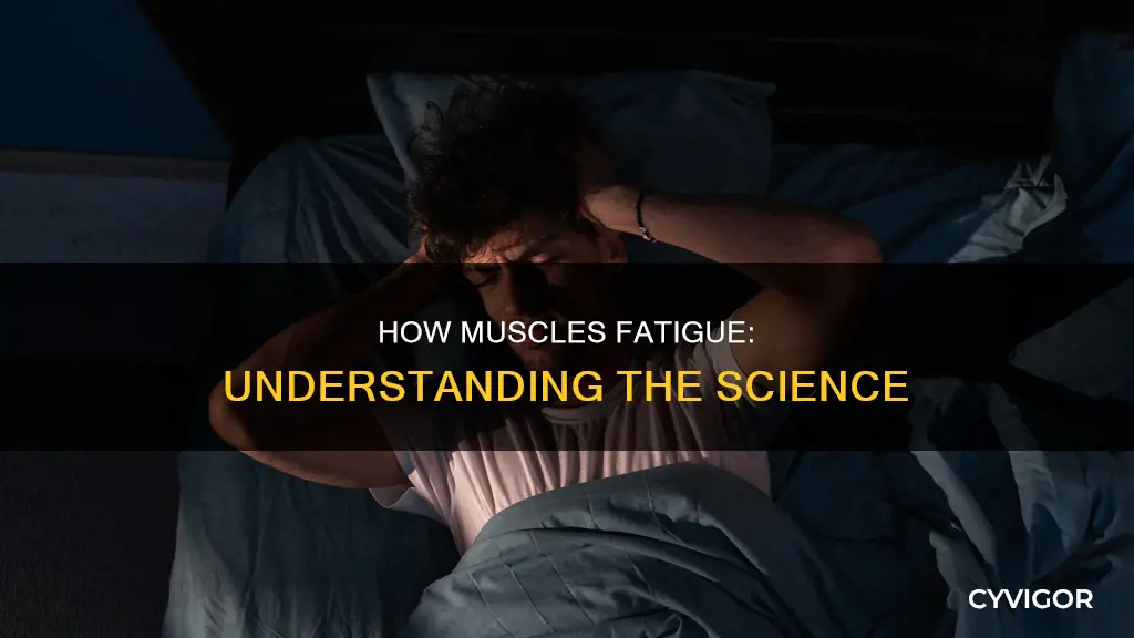 How Muscles Fatigue: Understanding The Science | CyVigor
