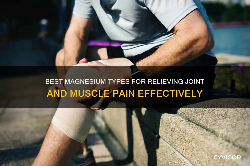 Best Magnesium Types For Relieving Joint And Muscle Pain Effectively ...