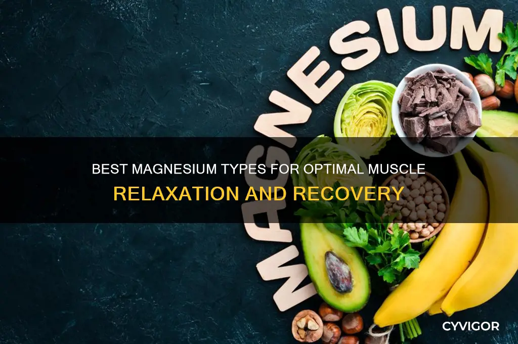 Best Magnesium Types For Optimal Muscle Relaxation And Recovery | CyVigor