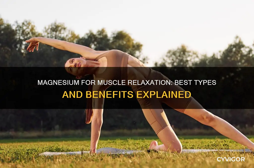 Magnesium For Muscle Relaxation: Best Types And Benefits Explained ...