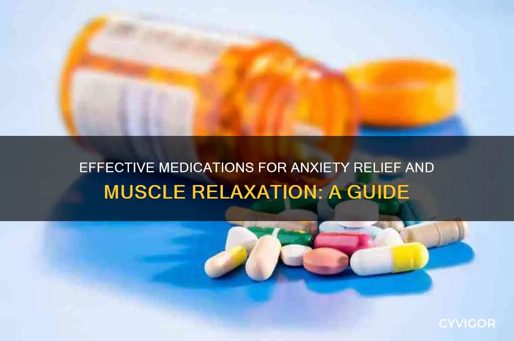 Effective Medications For Anxiety Relief And Muscle Relaxation: A Guide ...