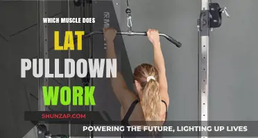 Lateral Raise Muscles: Targeting Shoulders For Strength And Definition ...