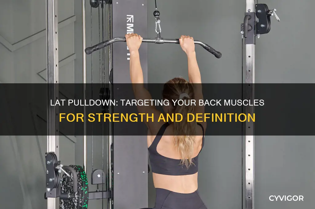 Lat Pulldown: Targeting Your Back Muscles For Strength And Definition ...