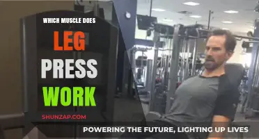 Muscles Targeted By Lunges: A Comprehensive Guide To Lower Body ...