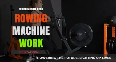 Leg Extensions: Targeted Muscle Groups And Workout Benefits Explained ...