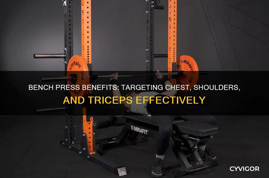 Bench Press Benefits: Targeting Chest, Shoulders, And Triceps ...