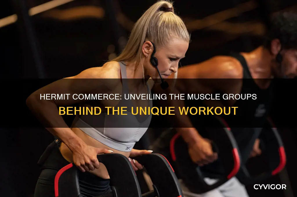 Hermit Commerce: Unveiling The Muscle Groups Behind The Unique Workout ...