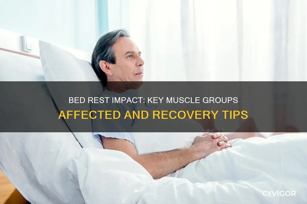 Bed Rest Impact: Key Muscle Groups Affected And Recovery Tips | CyVigor
