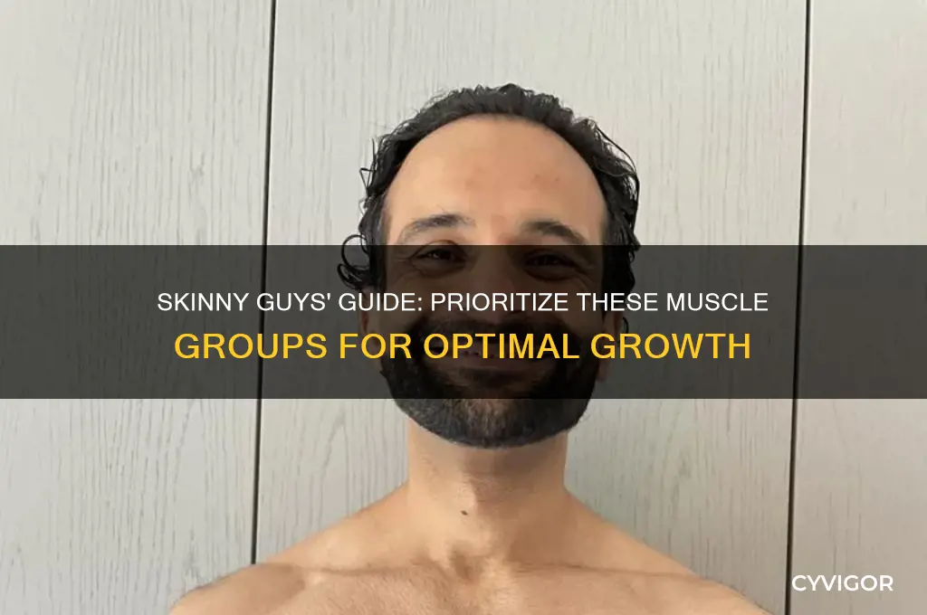 Skinny Guys' Guide: Prioritize These Muscle Groups For Optimal Growth ...