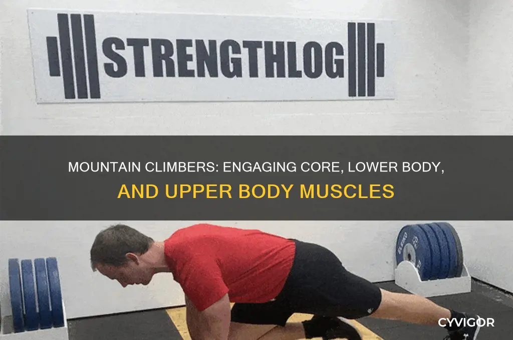 Mountain Climbers: Engaging Core, Lower Body, And Upper Body Muscles ...