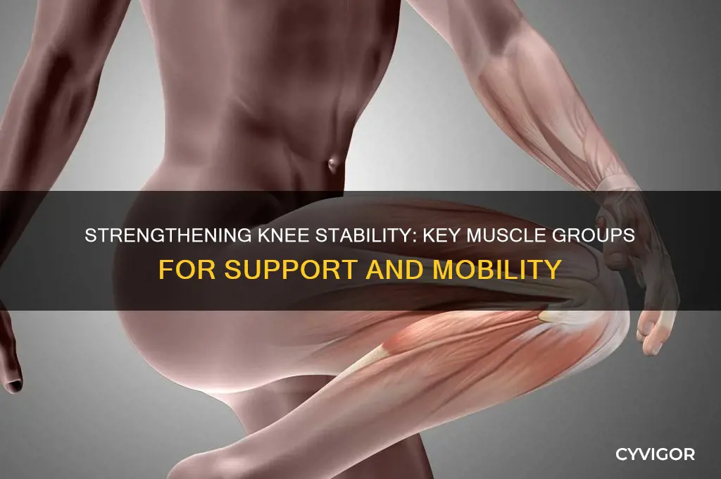 Strengthening Knee Stability: Key Muscle Groups For Support And ...