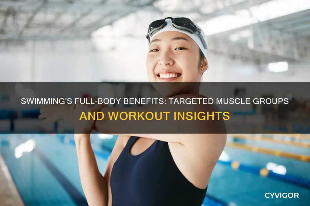 Swimming's Full-Body Benefits: Targeted Muscle Groups And Workout ...