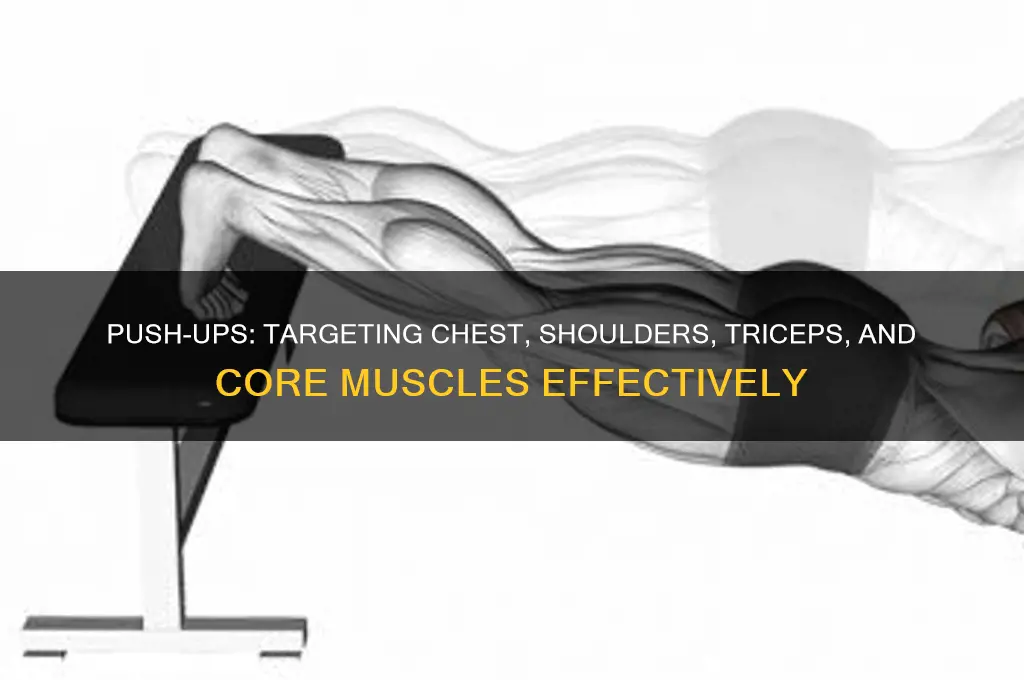 Push-Ups: Targeting Chest, Shoulders, Triceps, And Core Muscles ...