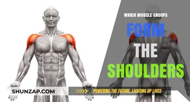 Understanding The Rotator Cuff: Key Muscles And Their Functions | CyVigor