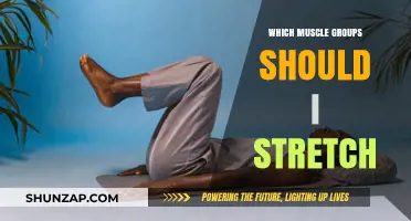 Russian Twist Muscles: Core, Obliques, And Back Activation Explained ...