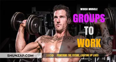 Lunges Target: Unlocking The Key Muscle Groups For Strength And ...