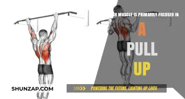 Identifying Pulled Leg Muscles: Symptoms, Causes, And Recovery Tips ...