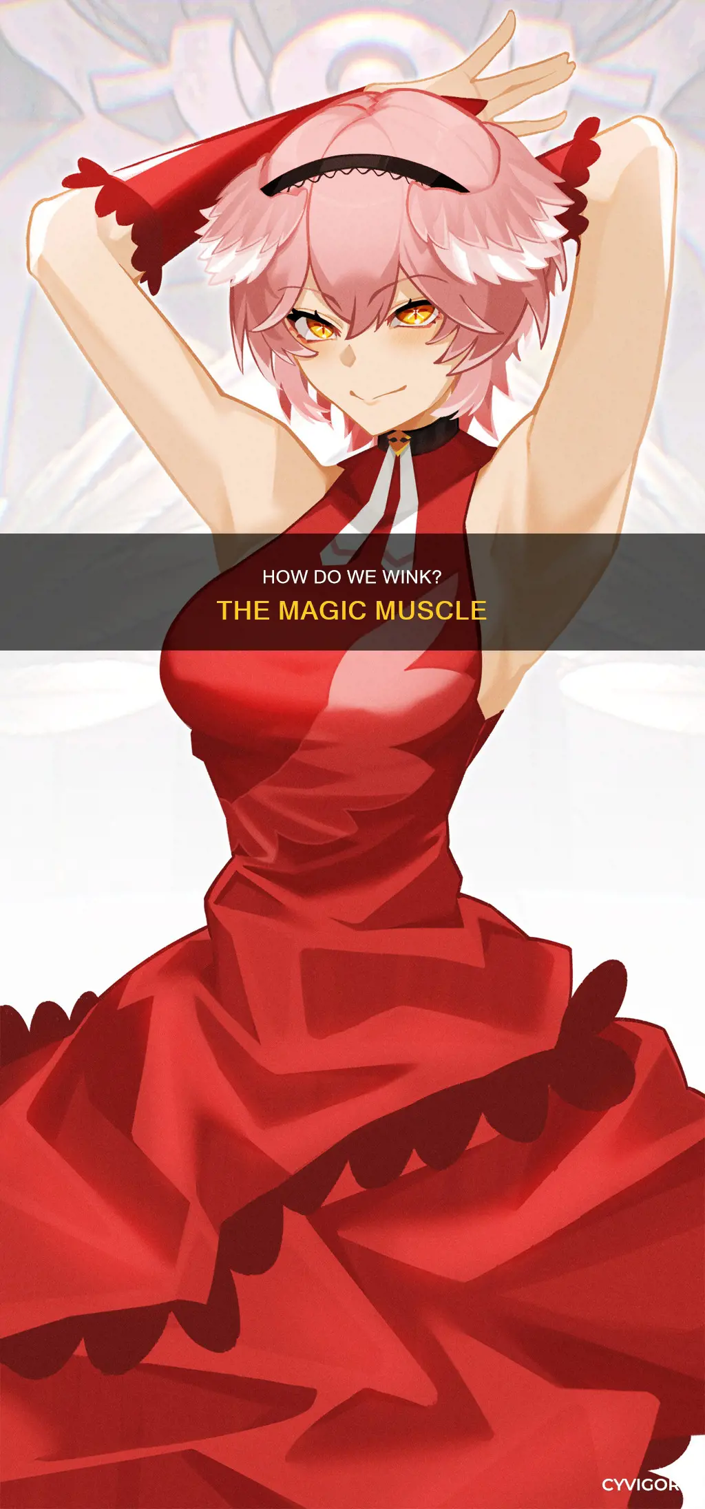 How Do We Wink? The Magic Muscle | CyVigor