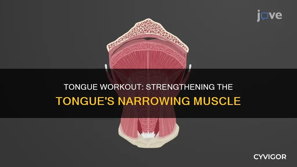 Tongue Workout: Strengthening The Tongue's Narrowing Muscle | CyVigor