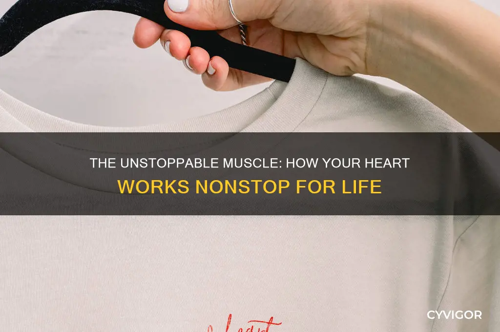 The Unstoppable Muscle: How Your Heart Works Nonstop For Life | CyVigor