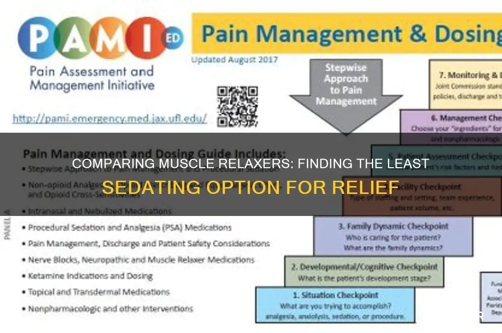 Comparing Muscle Relaxers: Finding The Least Sedating Option For Relief ...
