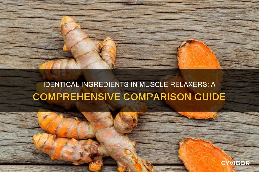 Identical Ingredients In Muscle Relaxers: A Comprehensive Comparison ...
