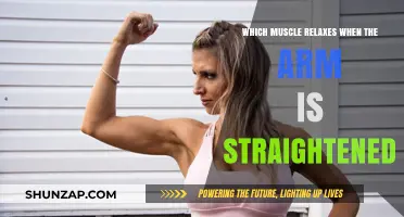Comparing Muscle Relaxers: Which One Offers The Strongest Relief? | CyVigor