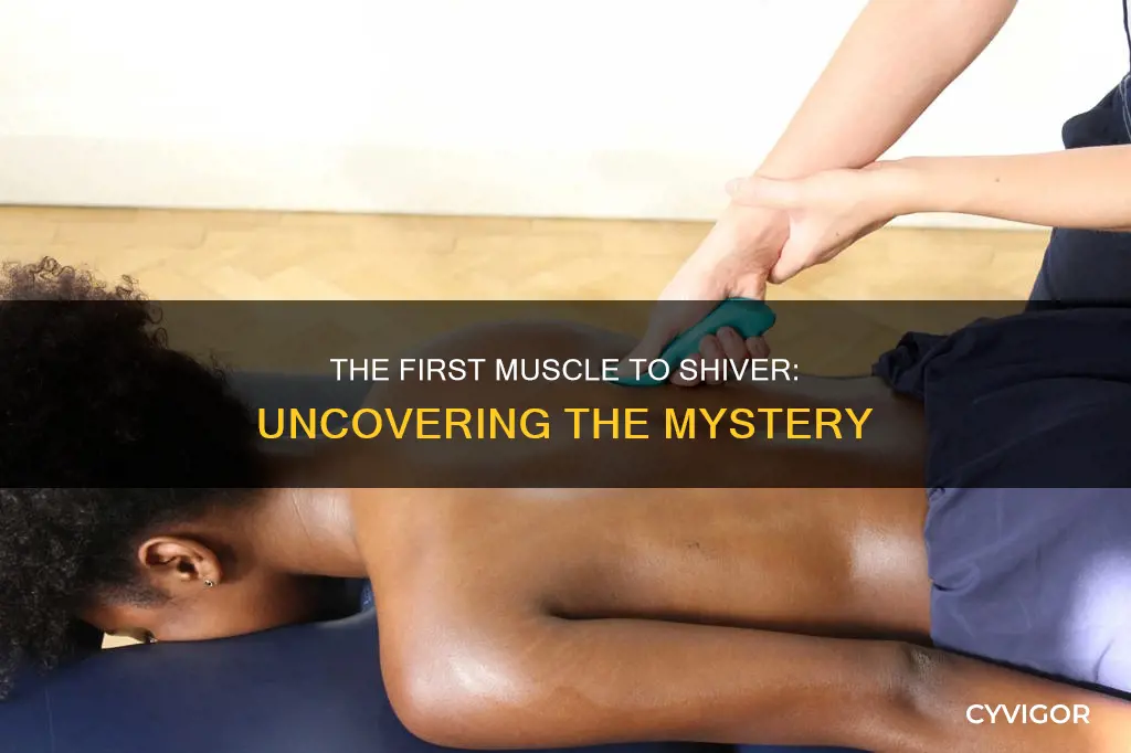 The First Muscle To Shiver: Uncovering The Mystery | CyVigor