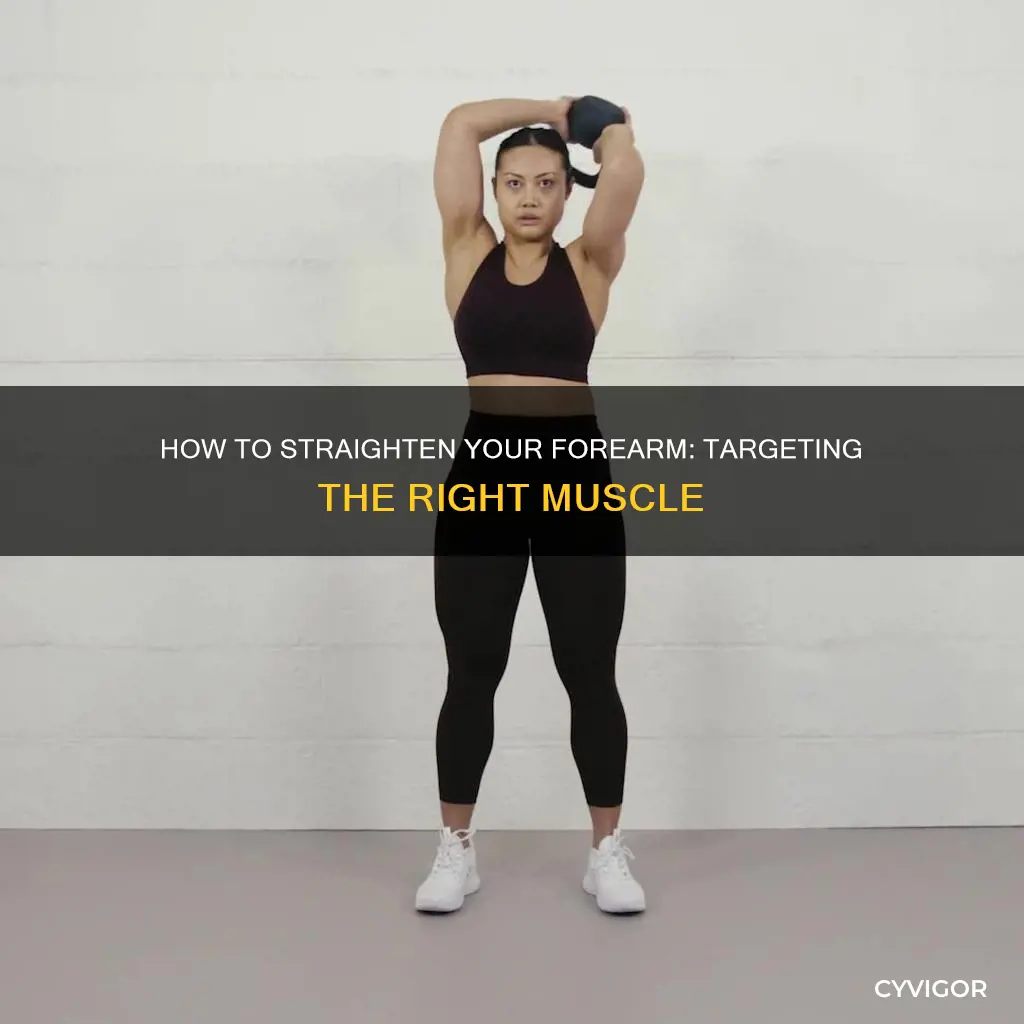 How To Straighten Your Forearm: Targeting The Right Muscle | CyVigor