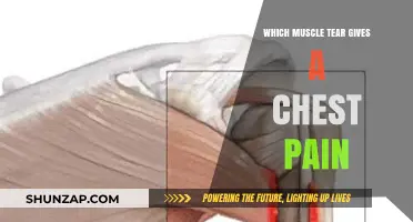 Hot Vs. Cold Compress: Which Relieves Muscle Pain Better? | CyVigor