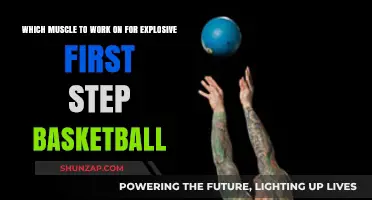 Supraspinatus And Deltoid: Key Muscles In Arm Abduction Explained | CyVigor