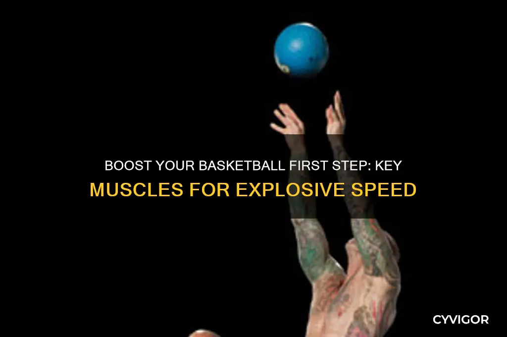 Boost Your Basketball First Step: Key Muscles For Explosive Speed | CyVigor
