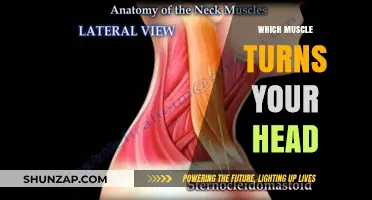 How To Supinate Your Forearm: Targeting The Right Muscles | CyVigor