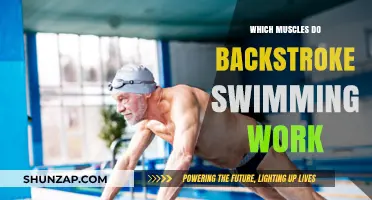 Bicep Curls: Target Muscles And Secondary Benefits Explained | CyVigor