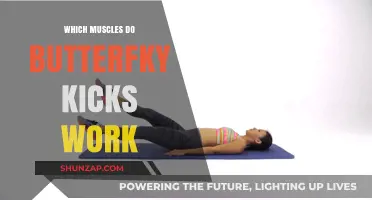 Butterfly Kicks: Targeted Muscles For Core, Hip, And Lower Body ...