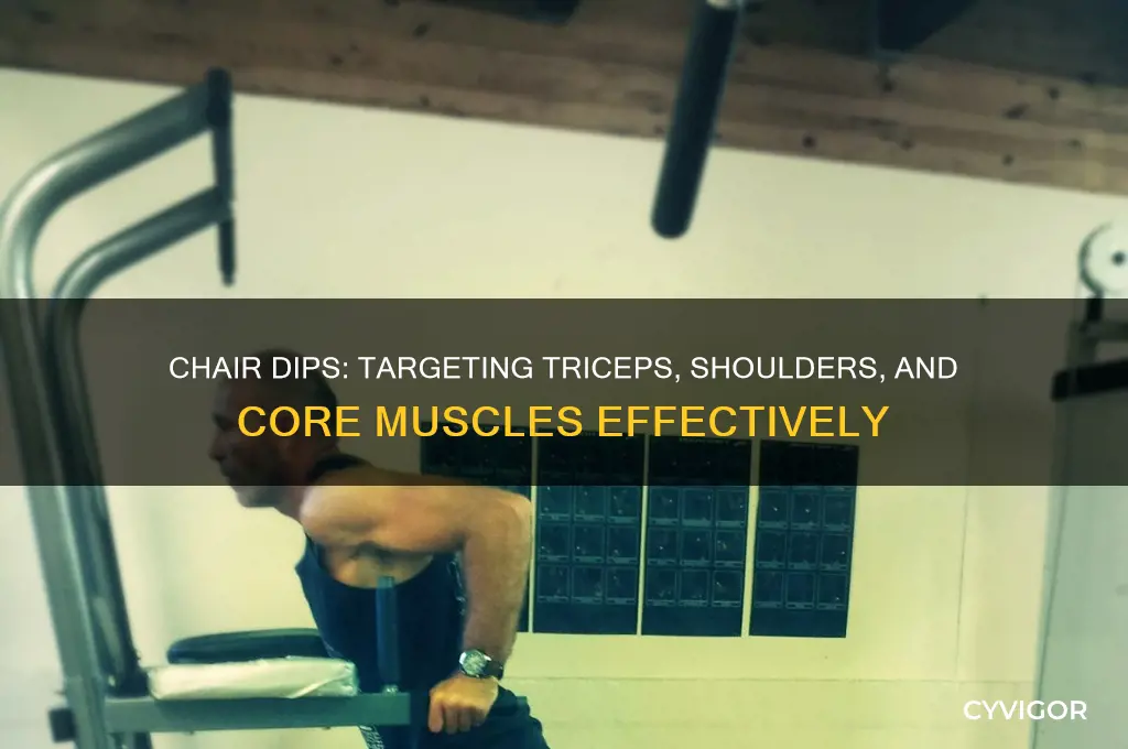 Chair Dips: Targeting Triceps, Shoulders, And Core Muscles Effectively ...