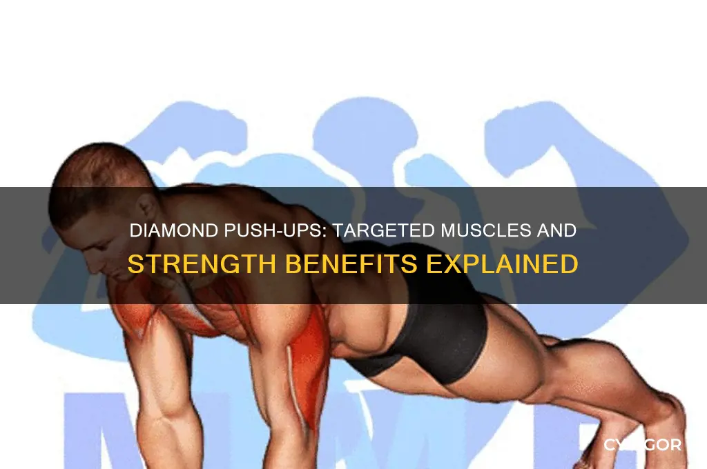 Diamond Push-Ups: Targeted Muscles And Strength Benefits Explained ...