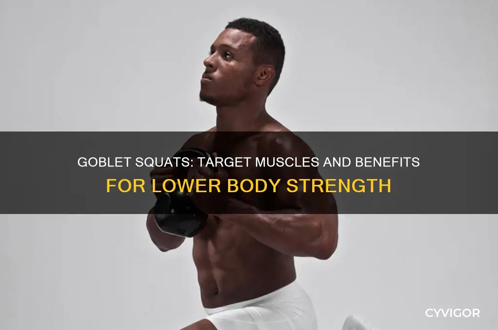 Goblet Squats: Target Muscles And Benefits For Lower Body Strength ...