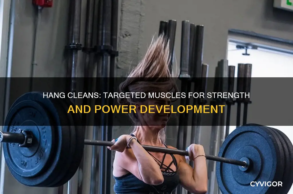 Hang Cleans: Targeted Muscles For Strength And Power Development | CyVigor