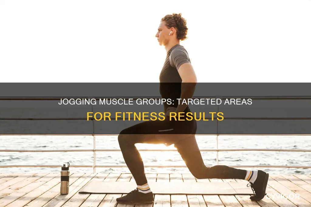 Jogging Muscle Groups: Targeted Areas For Fitness Results | CyVigor