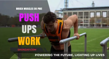Pike Push Ups: Targeted Muscles And Benefits Explained | CyVigor