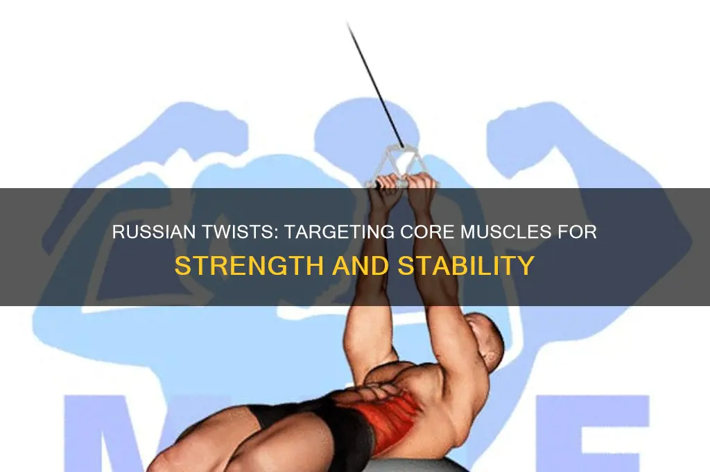 Russian Twists: Targeting Core Muscles For Strength And Stability | CyVigor