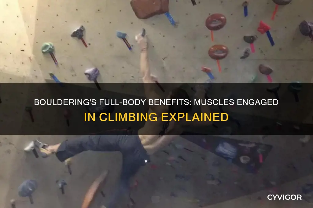 Bouldering's Full-Body Benefits: Muscles Engaged In Climbing Explained ...