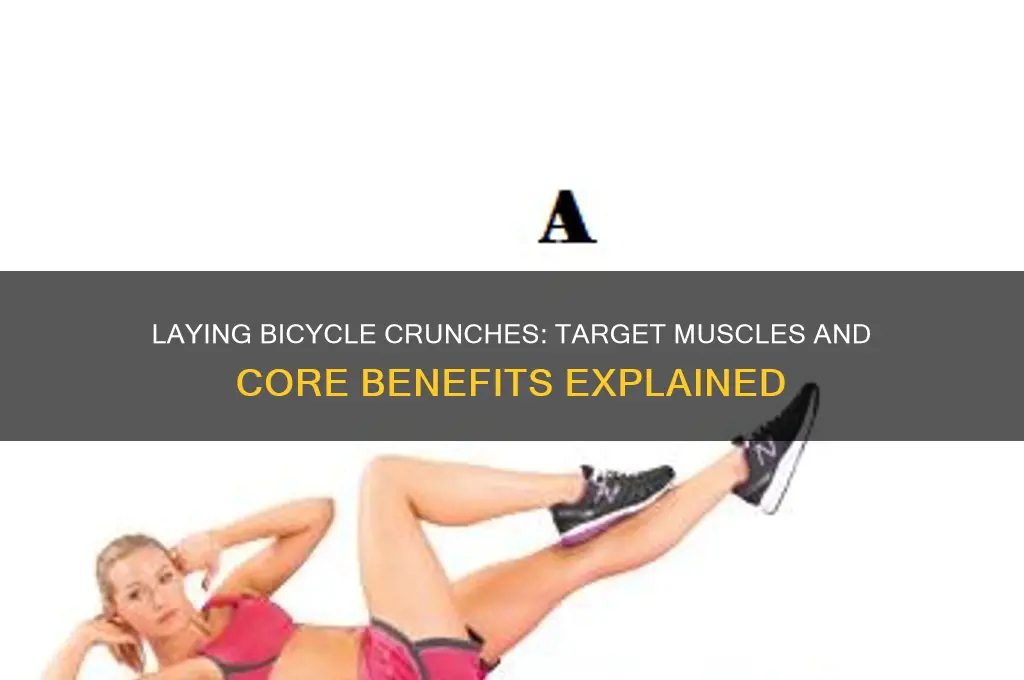 Laying Bicycle Crunches: Target Muscles And Core Benefits Explained ...